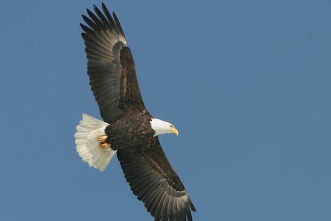 Guided Scenic Float Day Trip on the Salmon River - Practical Details and Booking