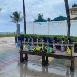 Guided Snorkeling Shipwreck & Coral Reef in South Florida - What You Can Expect on the Day