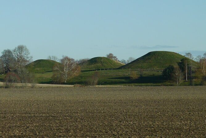 Guided tour 90min at Old Uppsala mounds and old Uppsala church - Final Thoughts