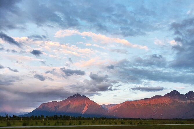 Guided Tour of Musk Ox Farm & Scenic Drive from Anchorage - Practical Information and Tips