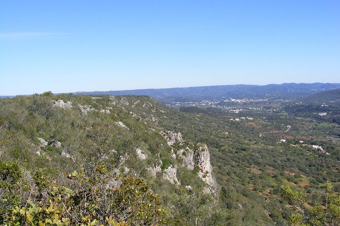 Guided Tour to the Geological Monument of Rocha da Pena - The Itinerary: A Step-by-Step Journey through Nature and History