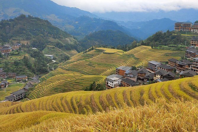 Guilin Tea plantation and Longji Rice Terraces Day Tour from Guilin hotel - Authentic Experiences and Genuine Insights