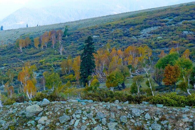 Gulmarg Adventure: A Thrilling Day Trip from Srinagar - The Itinerary in Detail
