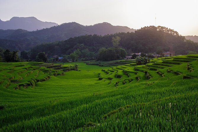 Ha Giang Motorbike Tour 3 days 2 nights - Who Is This Tour Best For?