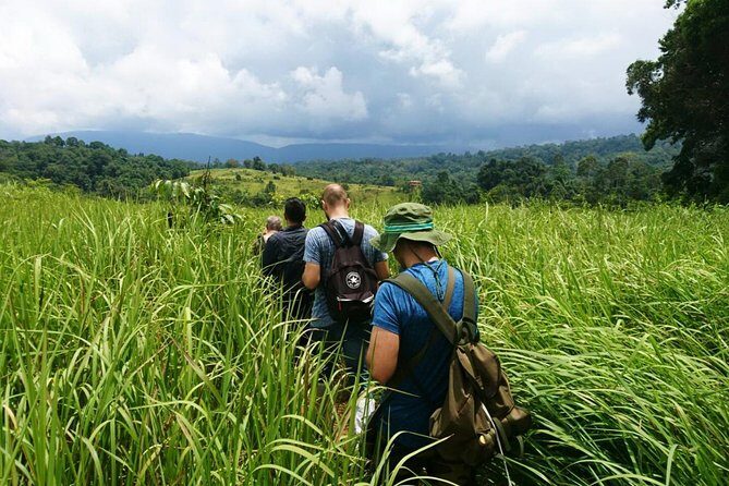 Haew Suwat Waterfall-Jungle Hiking to KM 33 Nong Pak Chi - Practical Details and Value