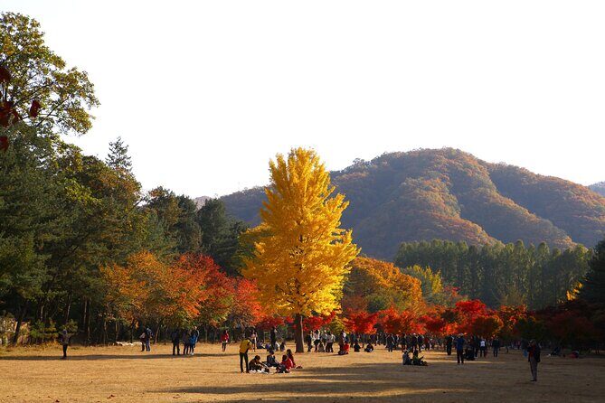 Halal - Central Mosque/Nami Island/Sheep Ranch /Morning Calm - What Really Sets This Tour Apart?