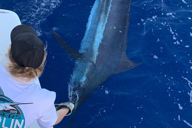 Half Day Afternoon Angler Charter - Is This Trip Worth It?