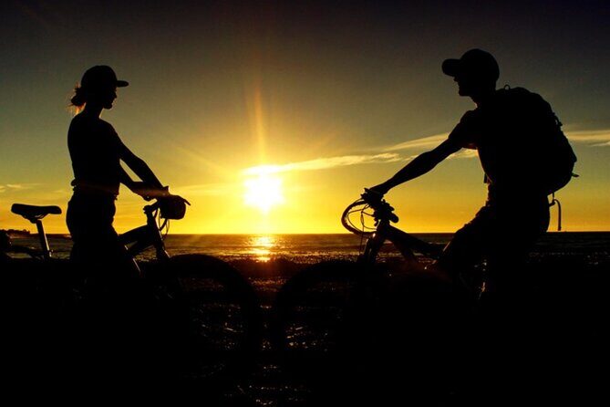 Half Day Bicycle Rental in Treasure Island - The Experience in Detail