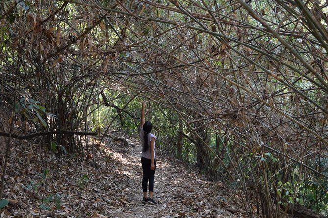 Half Day Doi Suthep Temple and short trekking on monk trail (Private Tour) - A Closer Look at the Itinerary