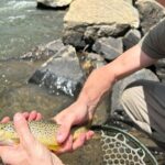 Half Day Fly Fishing Lesson on Clear Creek near Denver - The Sum Up