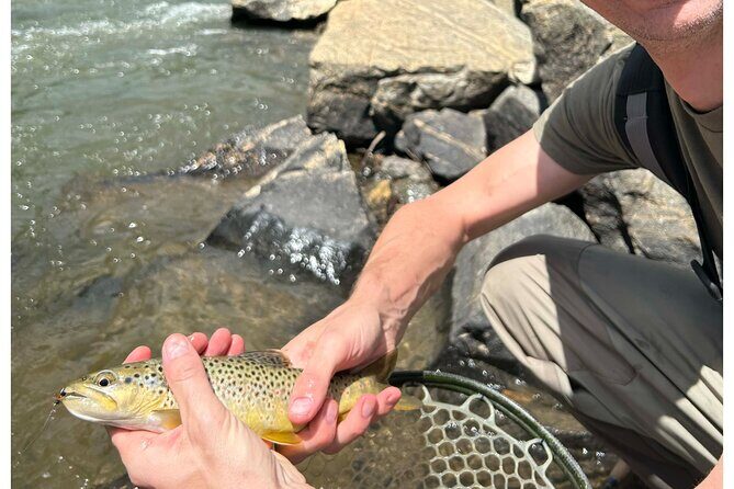 Half Day Fly Fishing Lesson on Clear Creek near Denver - The Sum Up