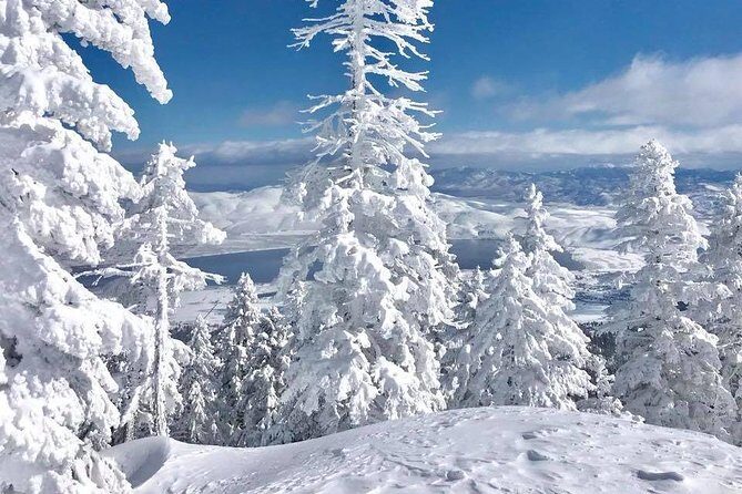 Half-Day Guided Backcountry Ski Touring Experience near Incline Village - What to Expect on the Tour
