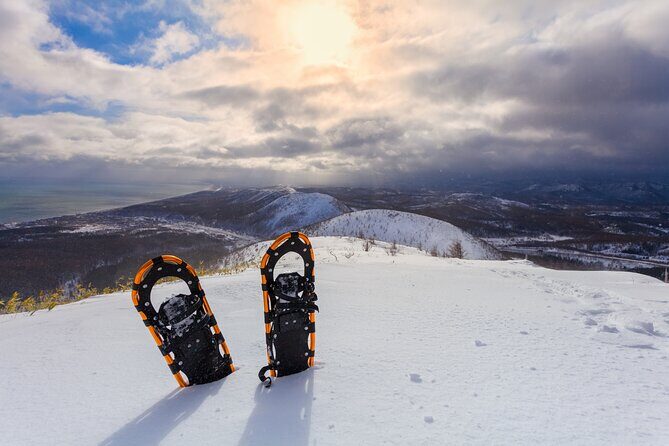 Half Day Guided Snowshoe Tour Near Breckenridge - Final Thoughts: Who Should Sign Up?