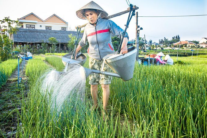 Half-day Hoi An Sunrise Or Sunset Photo Tour - What Travelers Say