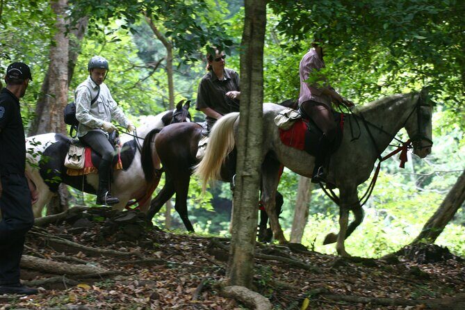 Half Day Horse Riding in Dambulla - What Makes This Ride Special