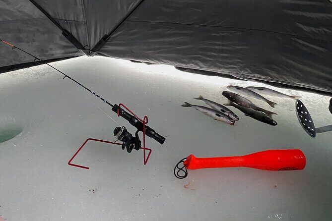 Half Day Ice Fishing Adventure in Wasilla - Why This Tour Is Perfect For You