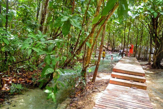 Half-Day Jungle Tour Including Crystal Pool and Krabi Hot Springs - The Transport and Guide Experience