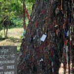 Half-Day Killing Field & Tuol Sleng Genocidal Museum with a local Tuk Tuk Tours - Who Should Consider This Tour?
