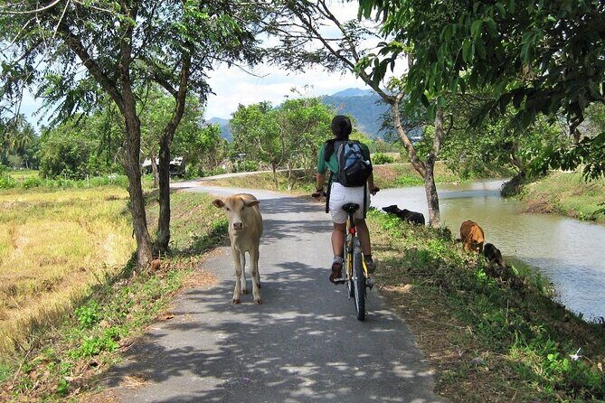 Half Day Nature Cycling Trip - What Do Past Travelers Say?
