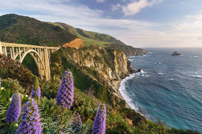 Half Day Private Big Sur Driving Tour in California - Detailed Breakdown of the Itinerary