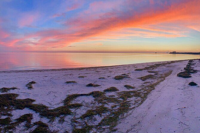 Half-Day Private Guided Nature of Floridas Gulf Coast Eco Tour - What to Expect on the Water