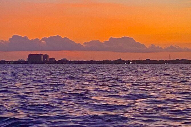 Half-Day Private Guided Sailing Adventure of Miami's Biscayne Bay - Authentic Wildlife Encounters and Scenic Vistas