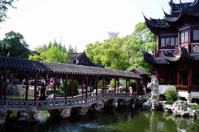 Half-Day Private Shanghai Tour by English Driver Guide including Bund, Xintiandi - Transport, Timing, and Practical Details