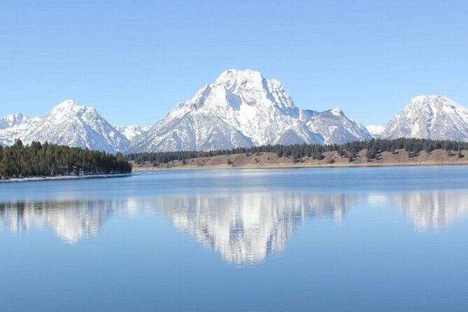 Half Day Private Winter Wildlife Tours in Jackson Hole - Who Will Love This Tour?