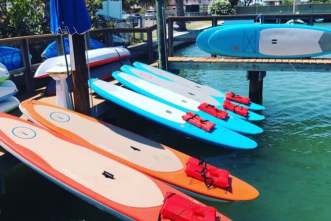Half Day Rental to John's Pass Sandbar & Mangrove Tunnel - What to Expect at Each Stop
