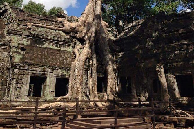 Half-Day Ta Prohm and Banteay Kdei Tour - What the Tour Means for You