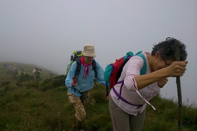 Half day Top Valley trek in Munnar - Who Will Love This Tour?
