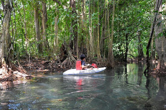 Half-Day Trip to Blue Lagoon at Klong Sra Kaew with Kayaking & ATV - Final Thoughts: Who Will Love This Tour?