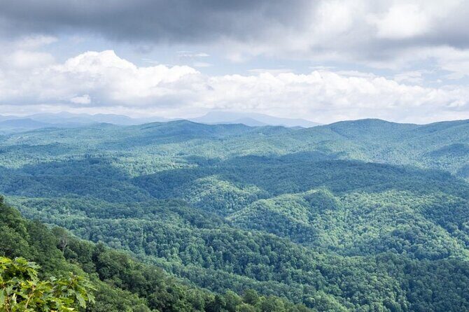 Half-Day Wine Tastings in the North Georgia Mountains - The Itinerary in Detail