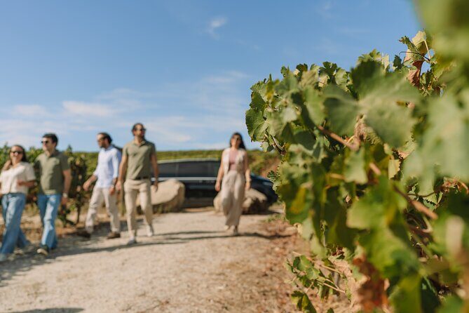 Half Day Wine Tour Around Evora - The Value of a Short Wine Tour