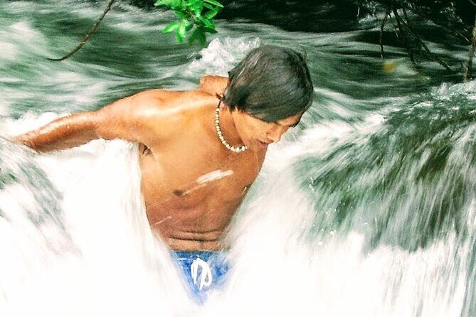 Halfway to Hana Private Tour Maui BlackBeach Waterfalls Turtles - Why This Tour Is Worth the Price
