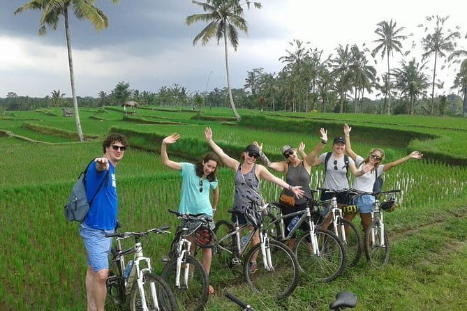 Halo Bike Cycling Tour Downhill - Detailed Itinerary Breakdown
