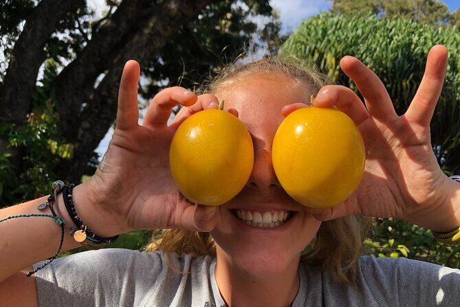 Hamakua Coast Farm Small-Group Walking and Tasting Tour - The Value of the Experience