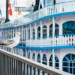 Hamburg: 1-Hour Harbor Sightseeing Cruise with HafenCity - What to Expect During the Cruise
