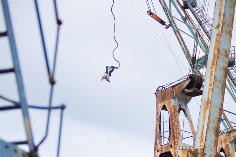 Hamburg: Bungee Jumping 50 Meters High over the Harbor - Authentic Experiences and Traveler Feedback