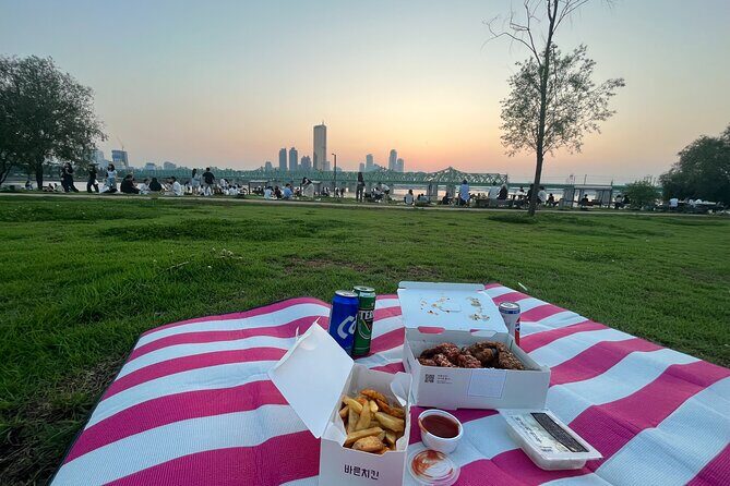 Han River sunset Chicken & Karaoke Private Tour - What the Tour Includes and Practicalities