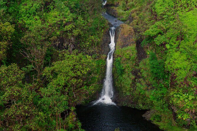 Hana Rainforest Scenic Helicopter Tour - The Sum Up