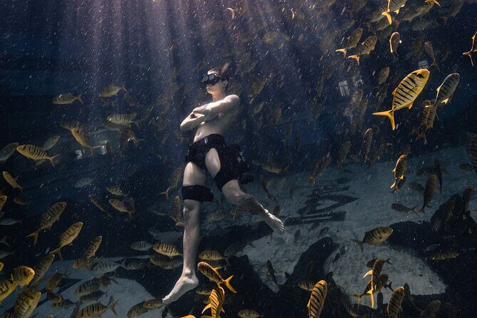 Hanauma Bay Snorkeling Reservation+Equipment Rental - The Booking and Customer Service Experience