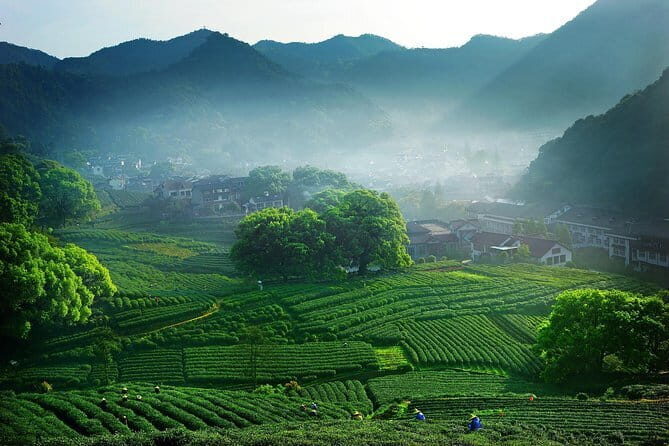 Hangzhou Heaven on Earth Full Day Private Tour from Shanghai - What Makes This Tour Stand Out?