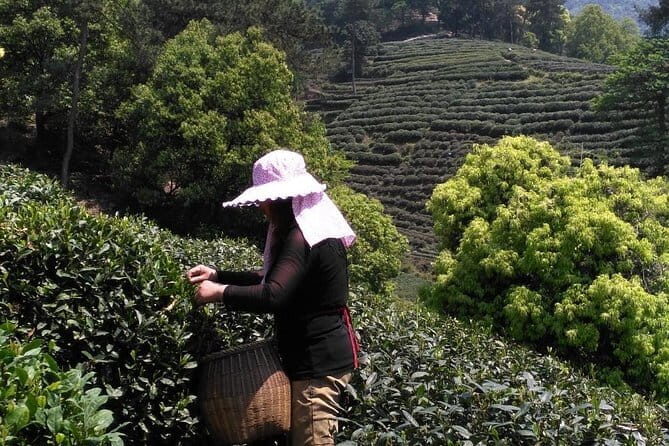 Hangzhou Private Day Trip from Suzhou by Bullet Train with Drop-off Options - What Makes This Tour Stand Out?