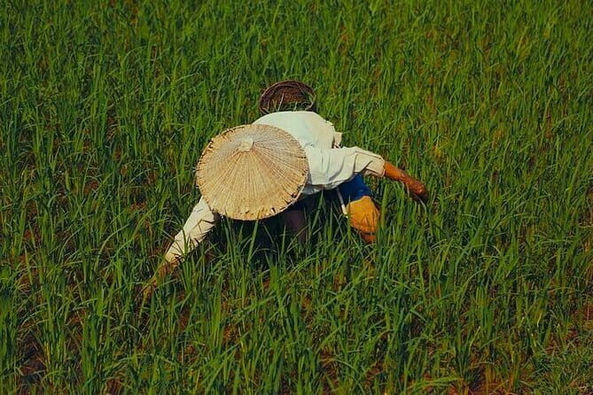 Hanoi: BEST Day Trip to Mai Chau Explore hidden charms, biking - What Makes This Tour Stand Out?
