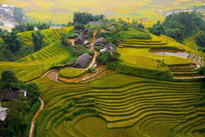 Hanoi Halong Bay Sapa Special Package 6Day, 6Night Hotel 4 Star & Cruise 5 star - Who Should Consider This Tour?