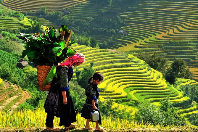 Hanoi Sapa and Halong Bay Package Tour 5 Days 4 Nights - Who Should Consider This Tour?