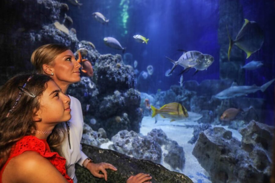 Hanover: SEA LIFE Entry Ticket - Final Thoughts