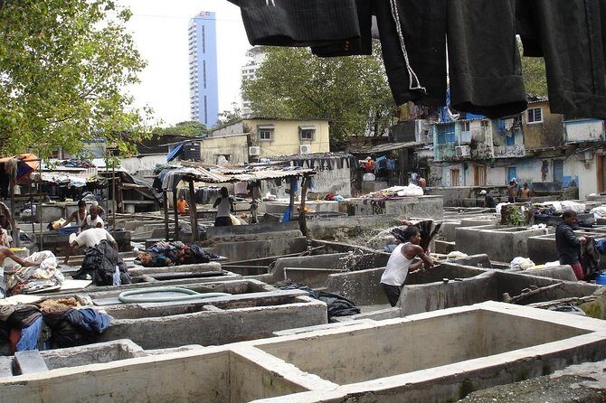 Happiness, Home Delivered: The Dhobis and Dabbawalas of Mumbai - Exploring Dhobi Ghat: Mumbai’s Open-Air Laundry