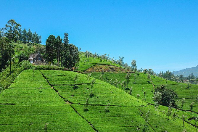 Haputale Highlands from Nuwara Eliya - Final Thoughts